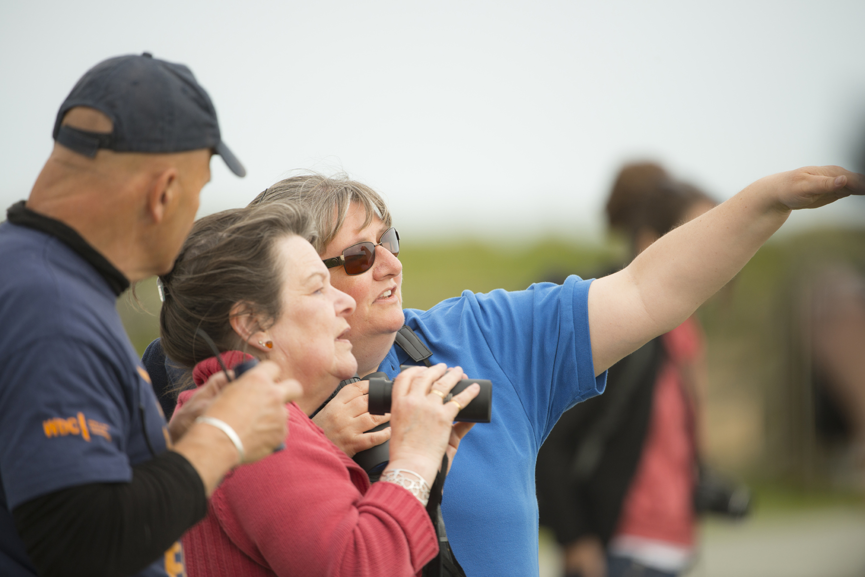 Guided Walk: Magical Medmerry! - What's On - Love Bognor Regis