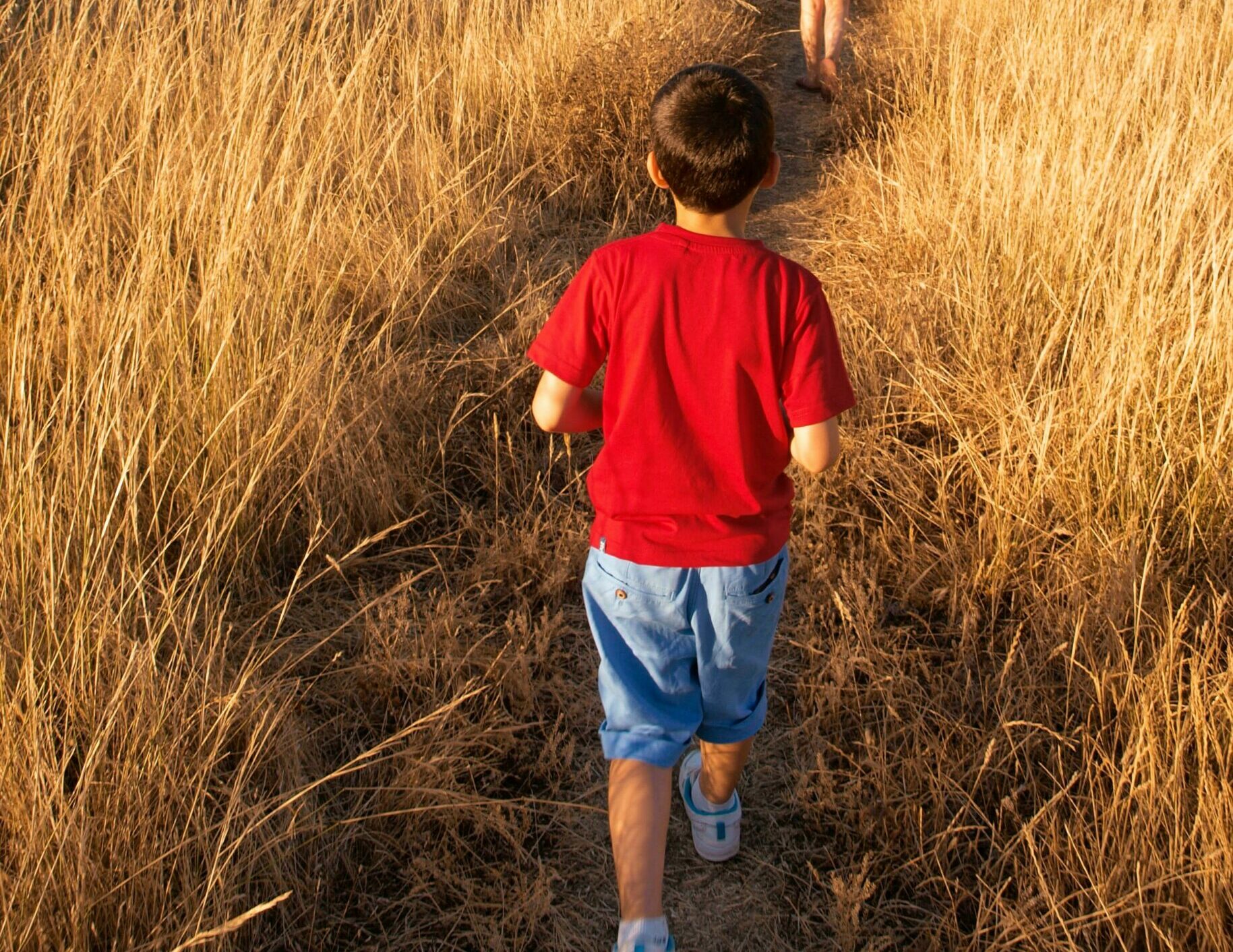 Things to Do in Bognor Regis This Summer for Families